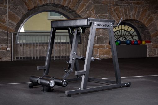 Reverse Hyper | Development of the core and back muscle chain