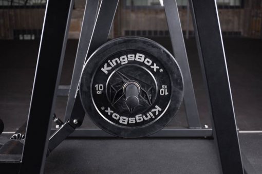 Reverse Hyper | Development of the core and back muscle chain