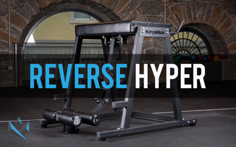 Reverse Hyper | Development of the core and back muscle chain