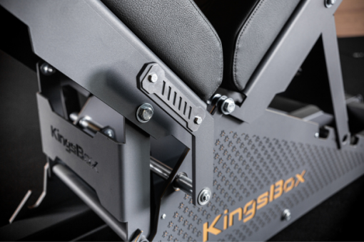 THE MAD KING - Leg Press for Royal Legs