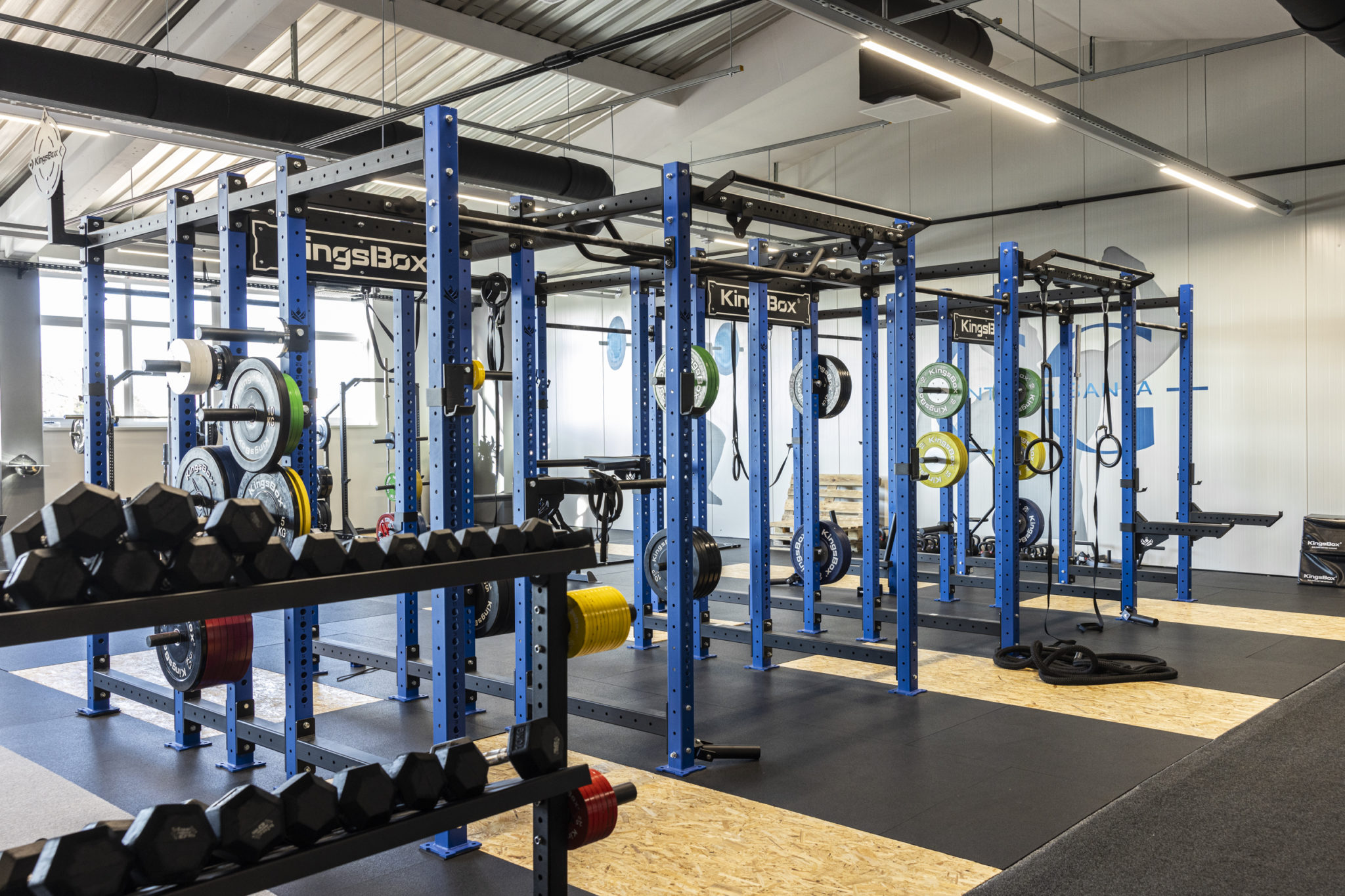 From an abandoned clothing factory to a spacious gym